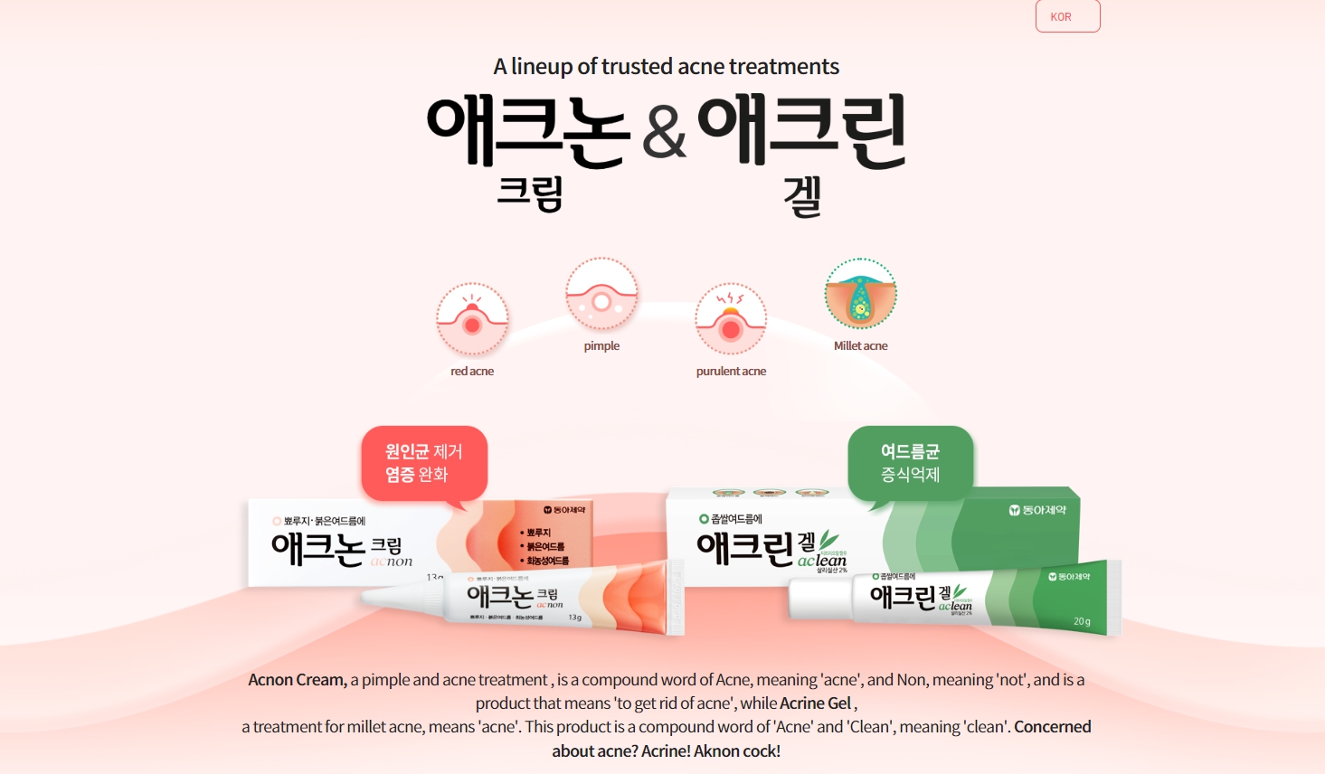 Acnon Cream 13g, Ointment From Korea /Removal of acnes and pimples ...