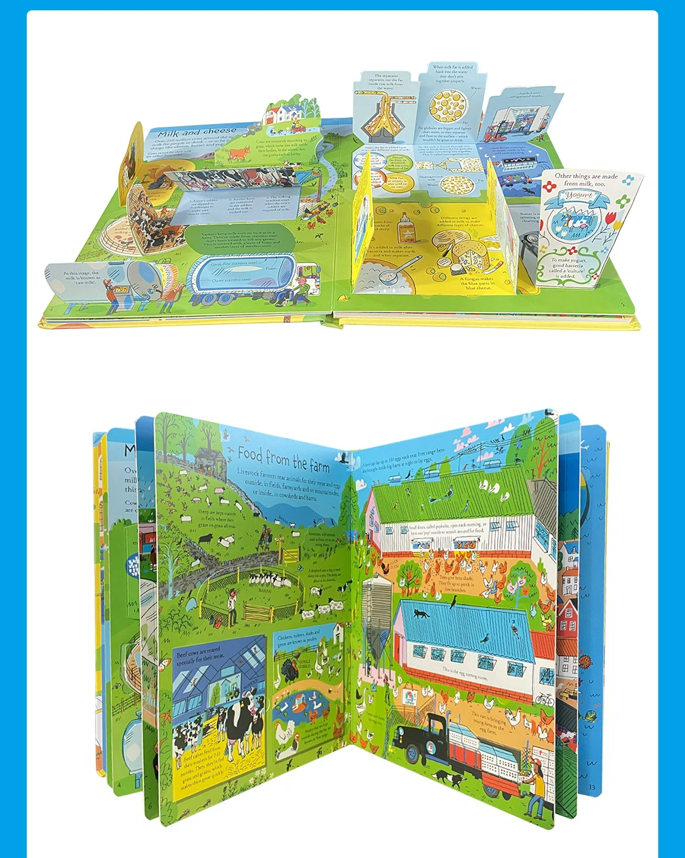 Usborne Books See Inside Popular Science Picture Book for Kids in ...