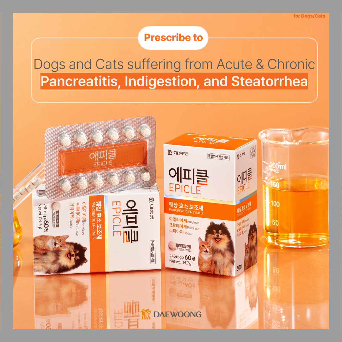 Epicle, Pet Pancreatic Enzymes, Digsetive Aid for Dog and Cat, 60 ...