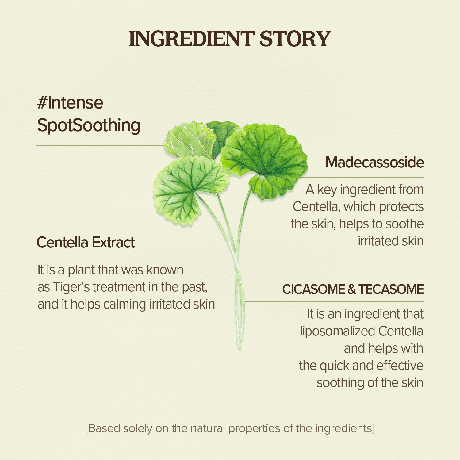 [SKINFOOD Official] Potato Madecassoside Soothing Pad 60ea / Skin ...