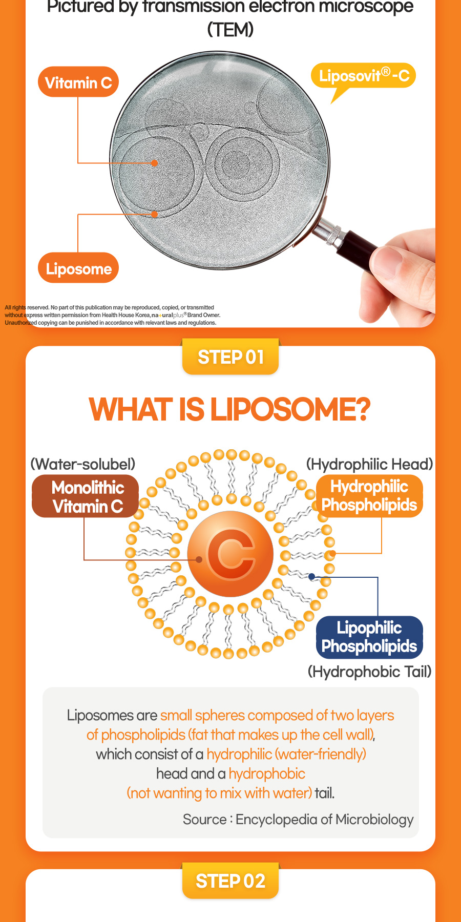 NATURALPLUS Korea High-Absorption Liposome Vitamin C, Liposomal Vitamin ...