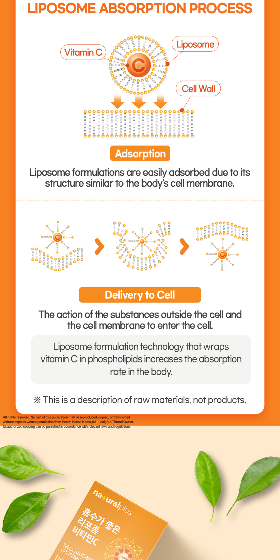 NATURALPLUS Korea High-Absorption Liposome Vitamin C, Liposomal Vitamin ...