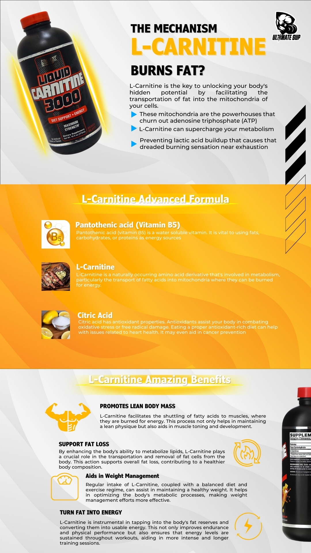 Nutrex Research Liquid Carnitine 3000, Fat Burner, Rapid Absorption ...