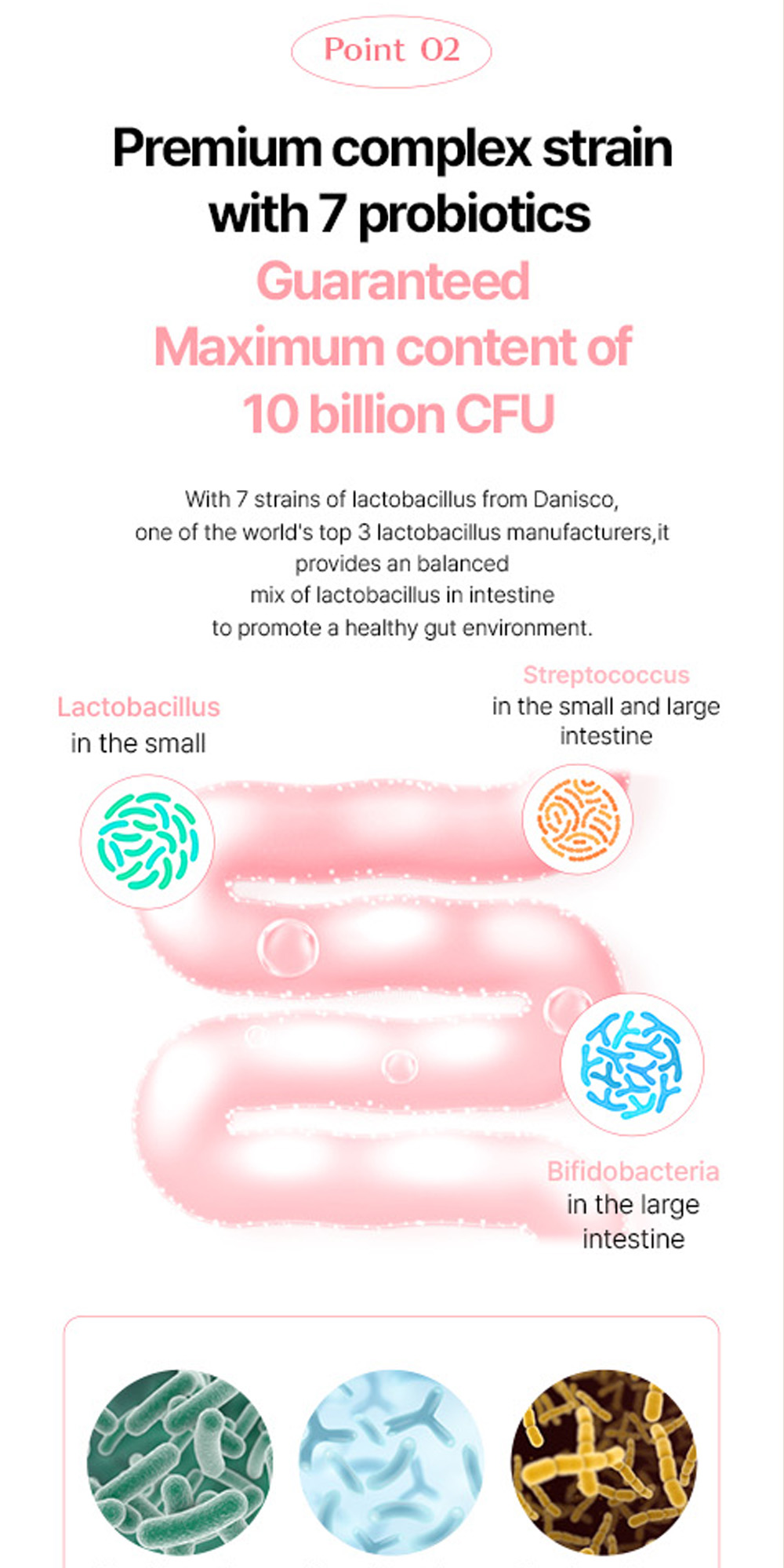 NUTRIONE BB LAB Probiotics W (300mg x 30 Capsules) 1 BOX | Shopee Malaysia