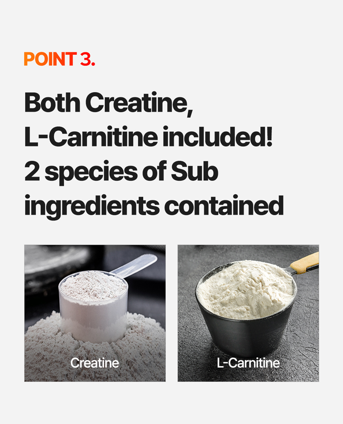 [Extreme] FAT BURNING for Body Fat Cutting, Catechin (Green Tea Extract ...