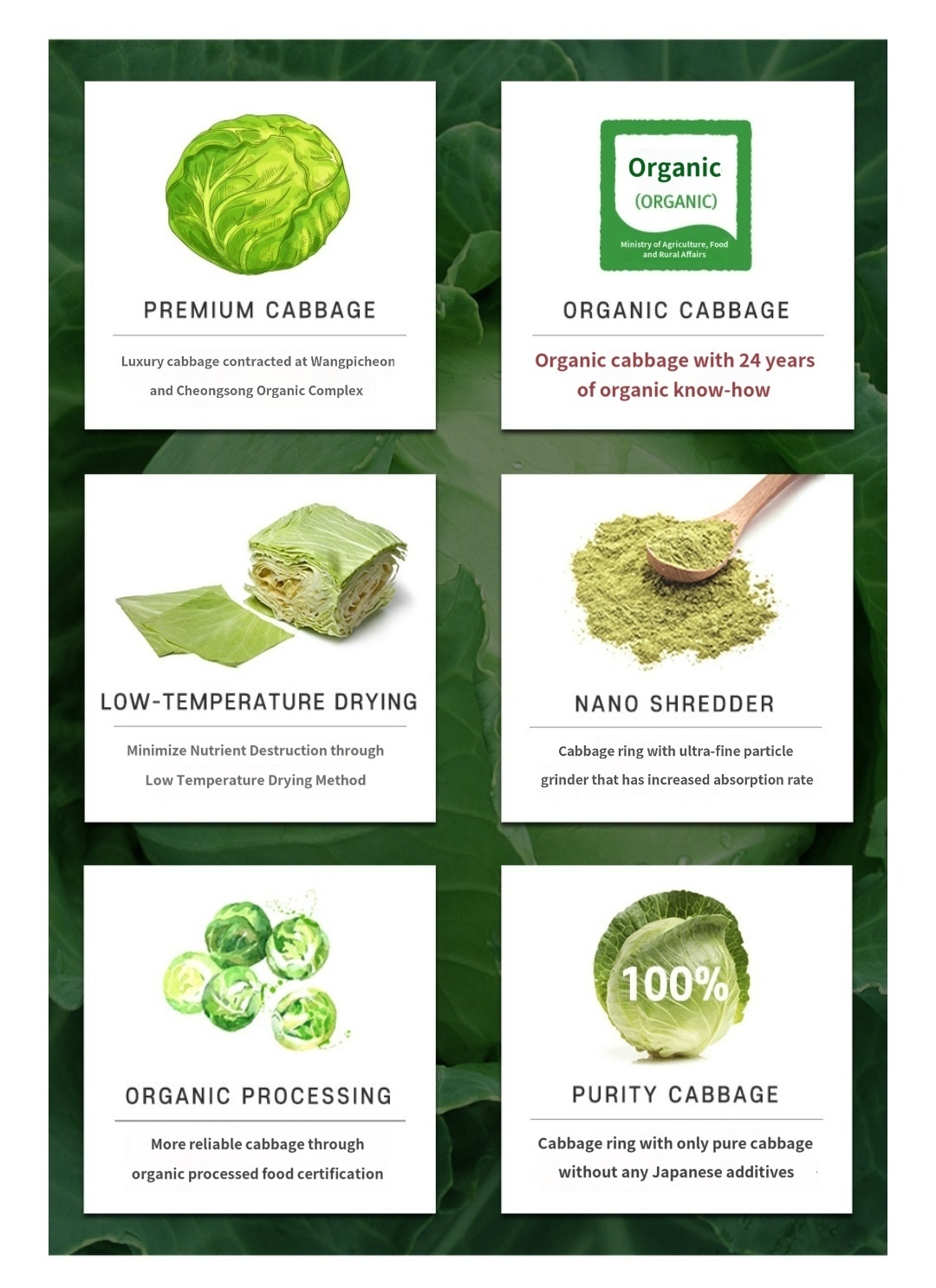 [Korean product] Cabbage Pill 100G: Low-Temperature Drying, 20-Year ...