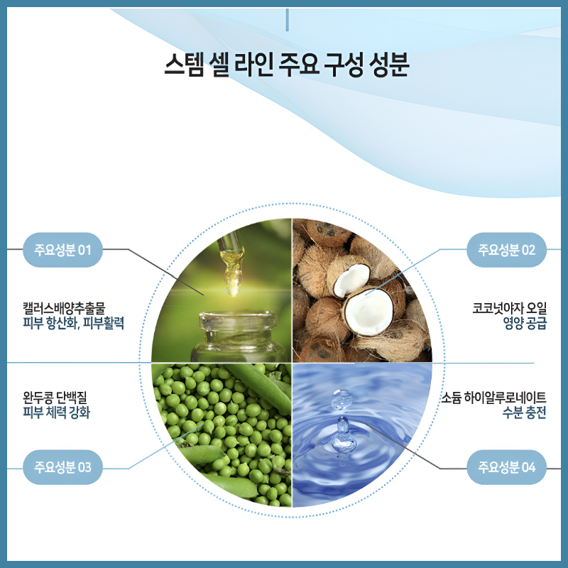 [RONAS] Stem Cell Hydro Cream 100ml Skin soothing/Intensive ...