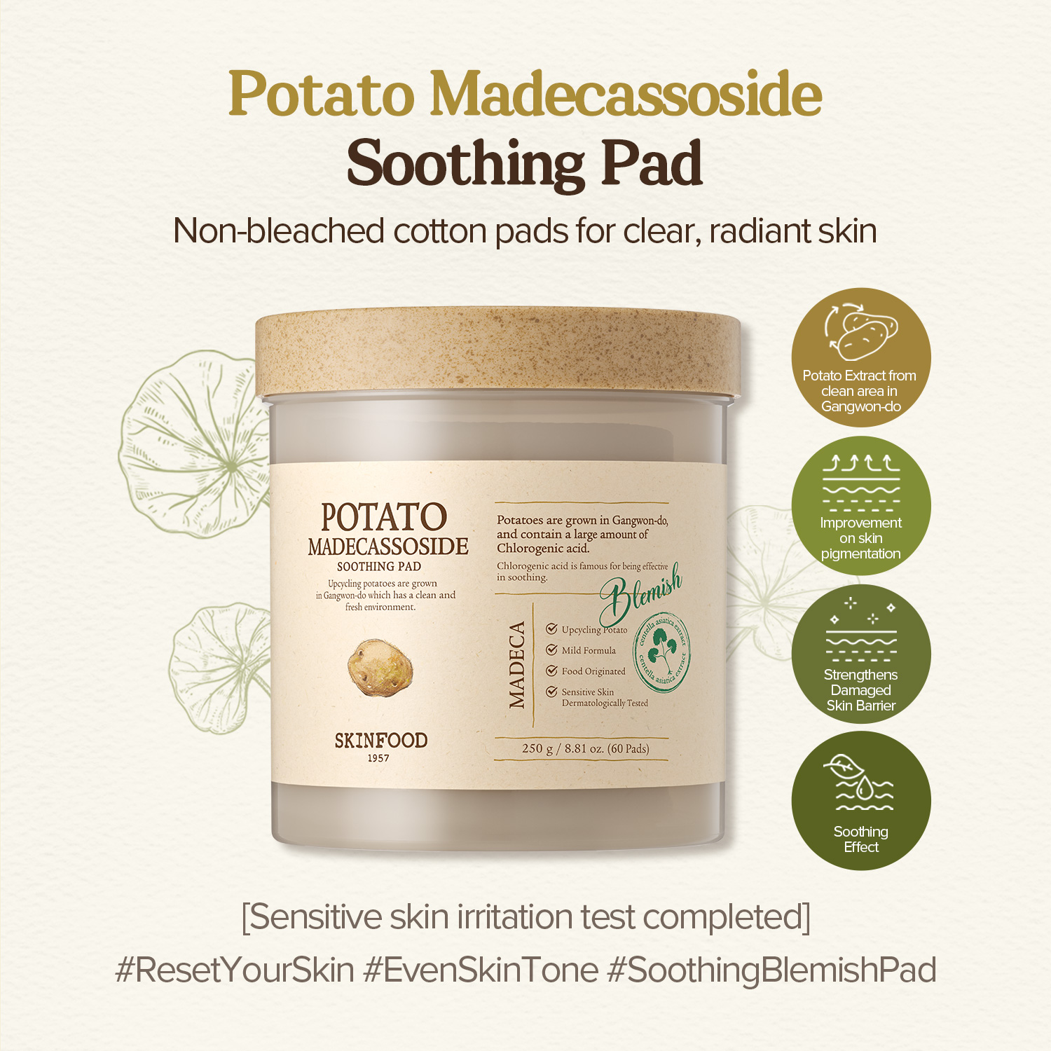 [SKINFOOD Official] Potato Madecassoside Soothing Pad 60ea / Skin ...