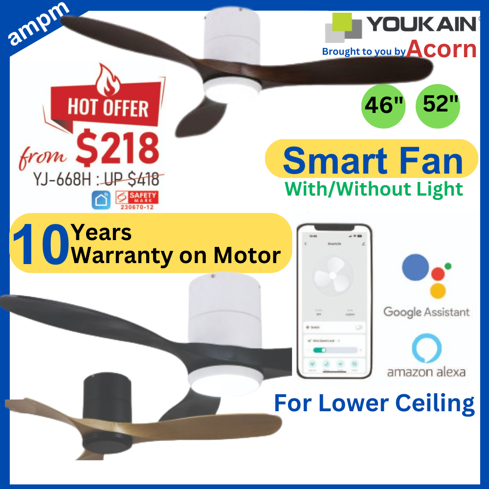 Youkain Ceiling Fan With Light Acorn Smart Fan DC Fan 6 Speed with ...