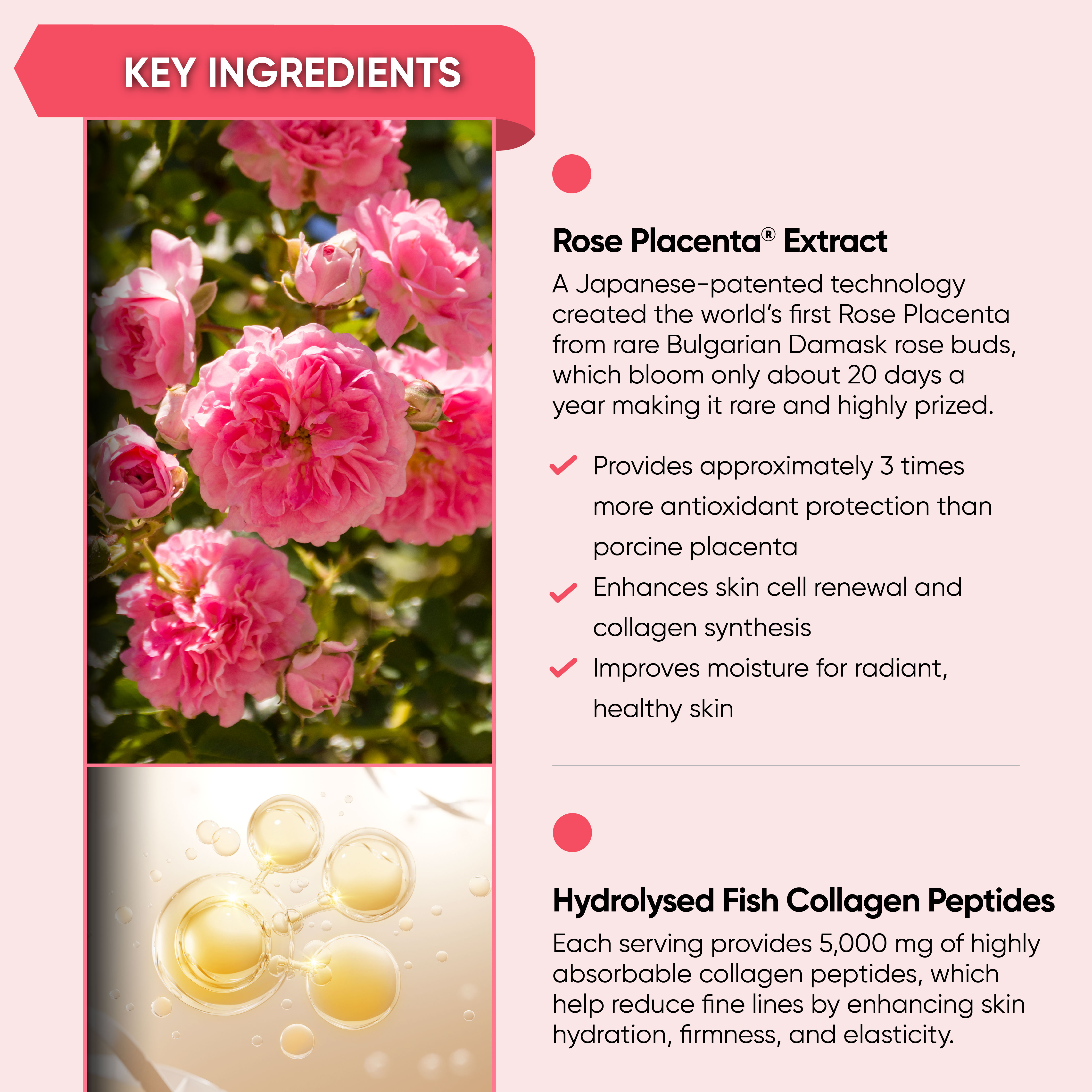 Holistic Way Bio-Elixir Rose Placenta Collagen Shot -10 Sachets x 25 ml ...