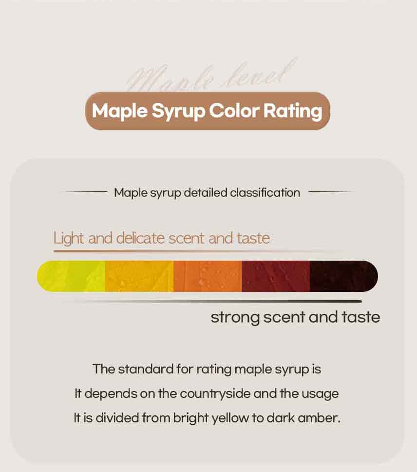 [TIVINE] Allulose Maple Syrup Zero Sugar Low Calorie Honey Syrup (520g ...