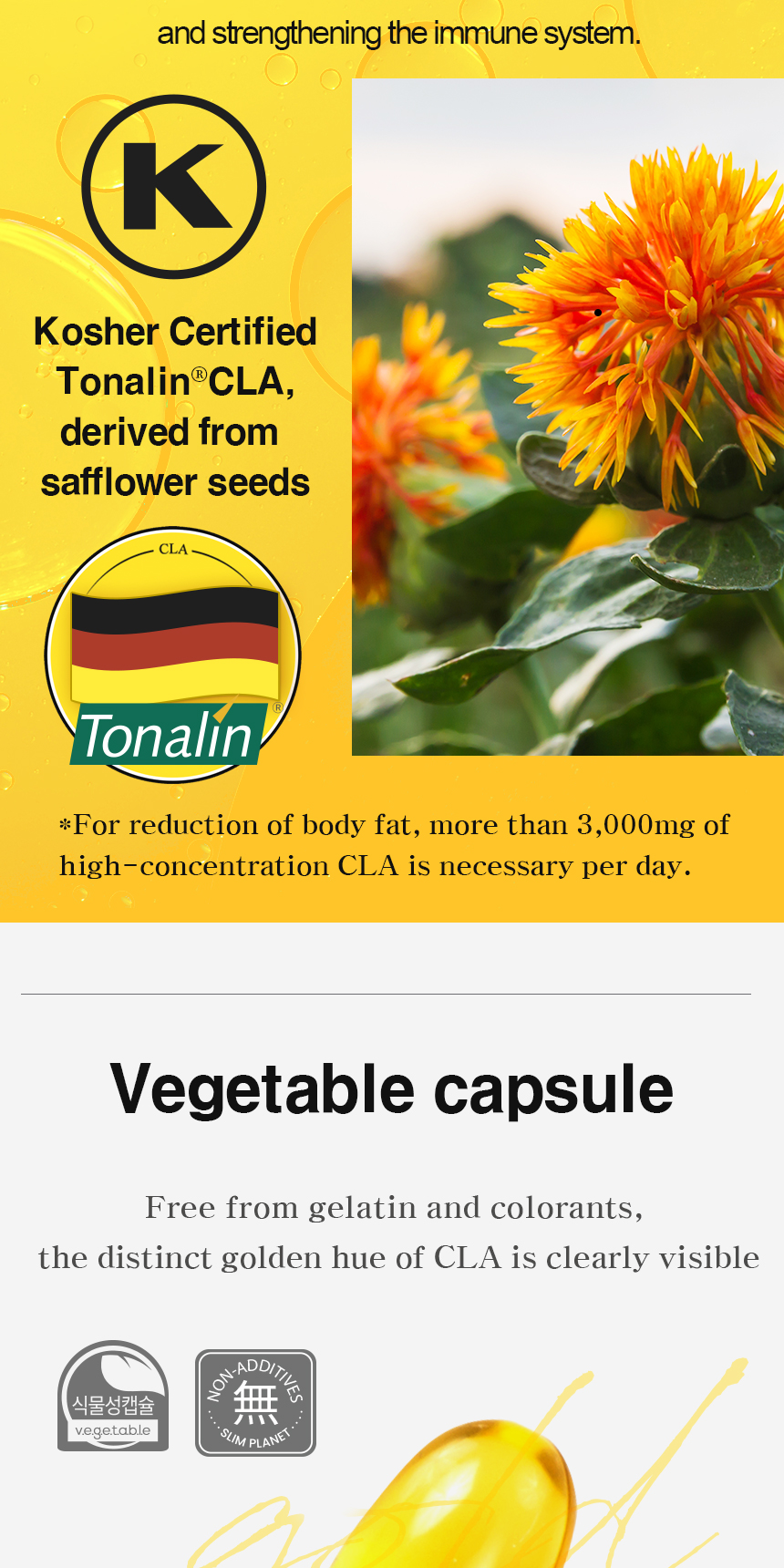 [Slimplanet] Tonalin CLA 3400mg - Natural Fat Burner for Lean Muscle ...