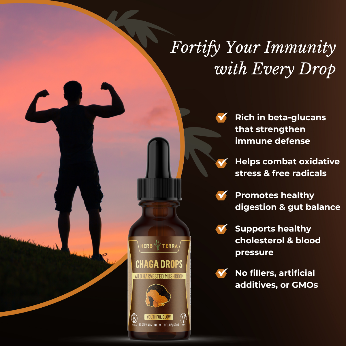 Herb Terra Chaga Mushroom Drops - Immune Support with Chaga Extract ...