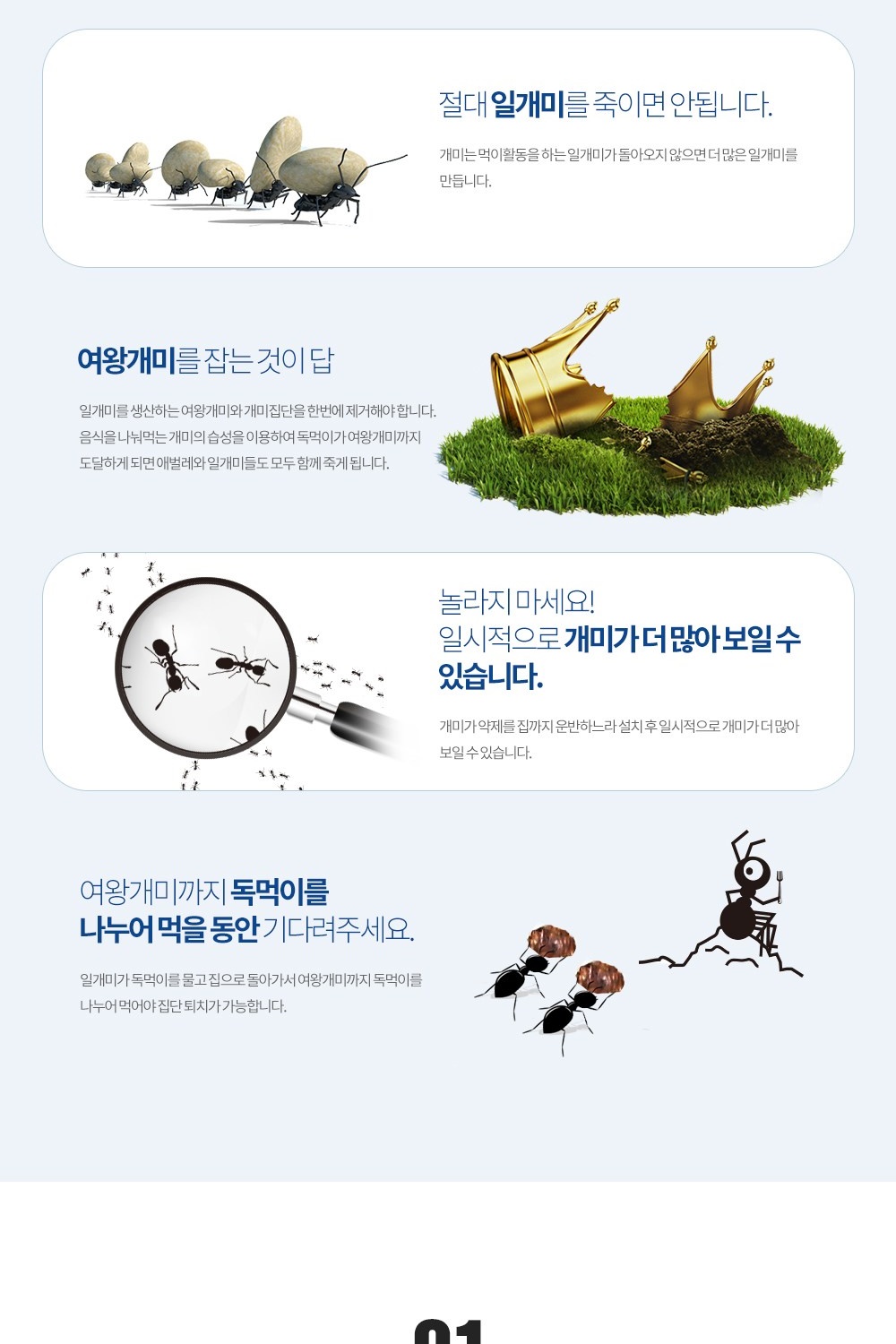 ZAPS Ant Dual Bait Insecticide | 12g | Shopee Malaysia