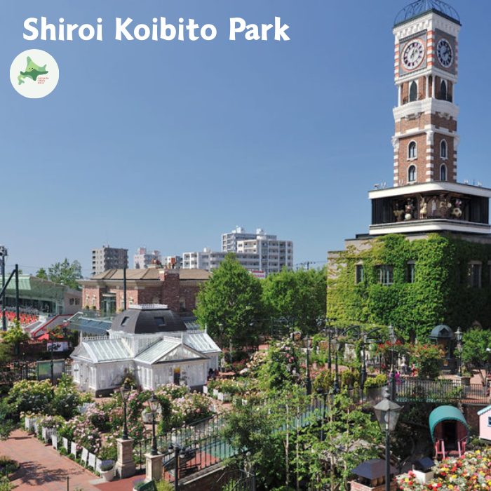 Shiroi Koibito by Ishiya Seika – Hokkaido Famous Cookies – White Chocolate / White & Black – 9 ...