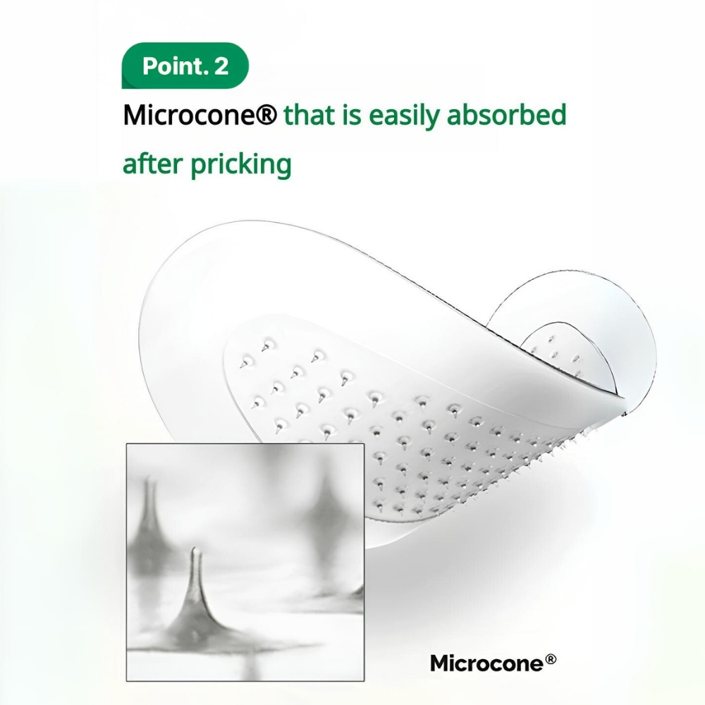 BIOHEAL BOH Panthecell Repair Cica Micro Spot Patch for Blemish 12 Sheets | Shopee Malaysia