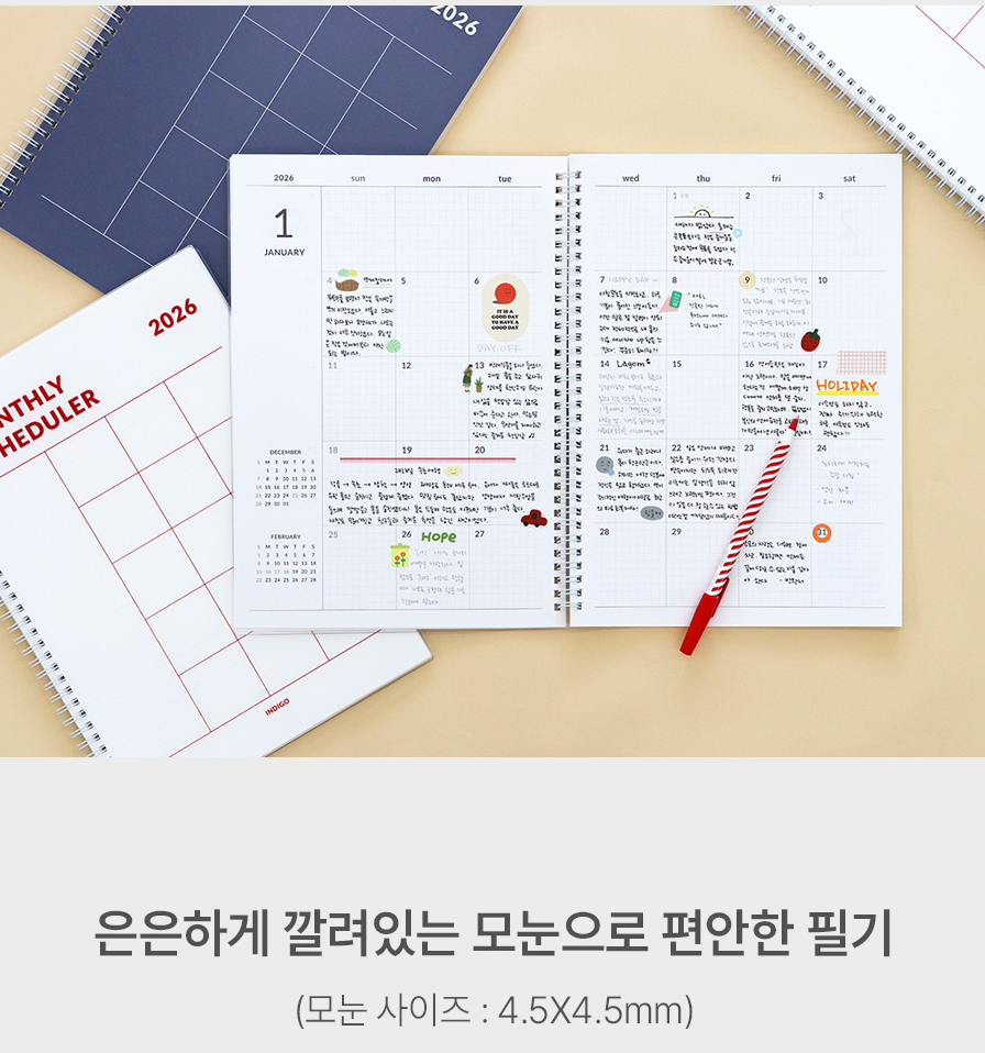 [indigo] 2026 Basic A4 Monthly Scheduler Diary (Dated Planner 14 Months ...