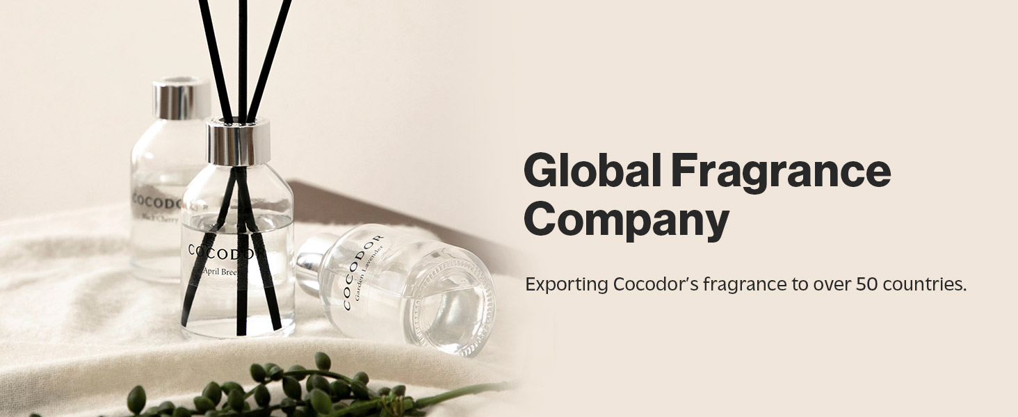 COCODOR Classic Reed Diffuser / 100ml / Home Fragrance Air Freshner ...