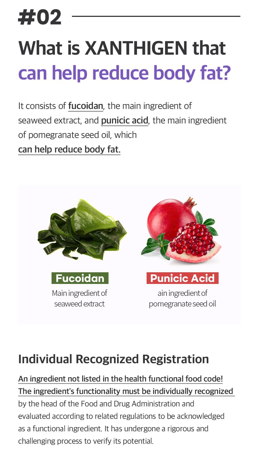 [Skinny Lab] Easy Slimming Xanthigen Diet 14ea for 14 days & 28 days ...