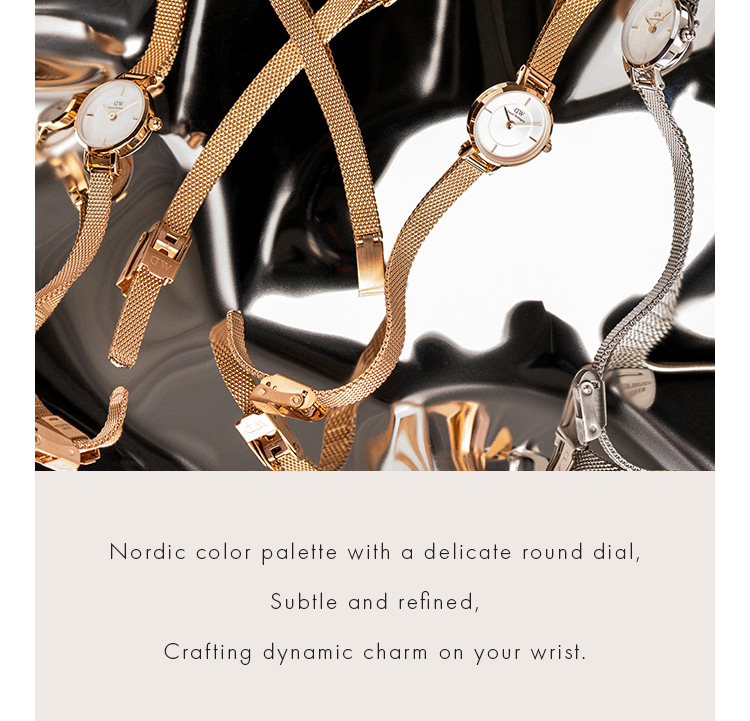 [2 years warranty] Daniel Wellington Petite Mini 19mm Melrose Rose Gold ...