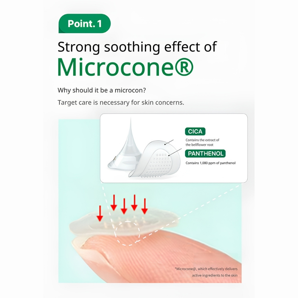 BIOHEAL BOH Panthecell Repair Cica Micro Spot Patch for Blemish 12 ...