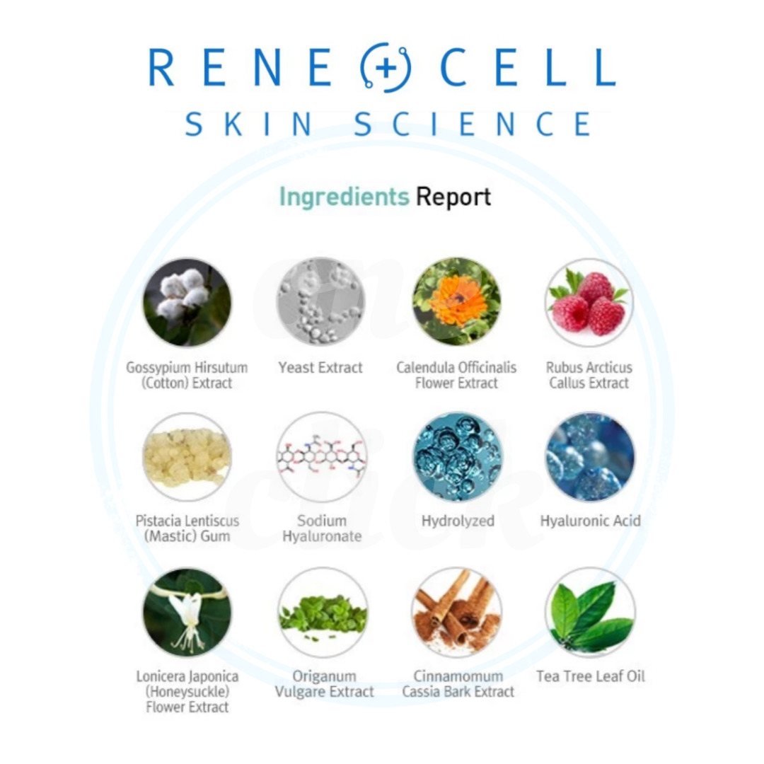 RENECELL Absorber Hyaluronic Serum 30ml | Lightweight Hydrating Essence for Daily Skincare ...