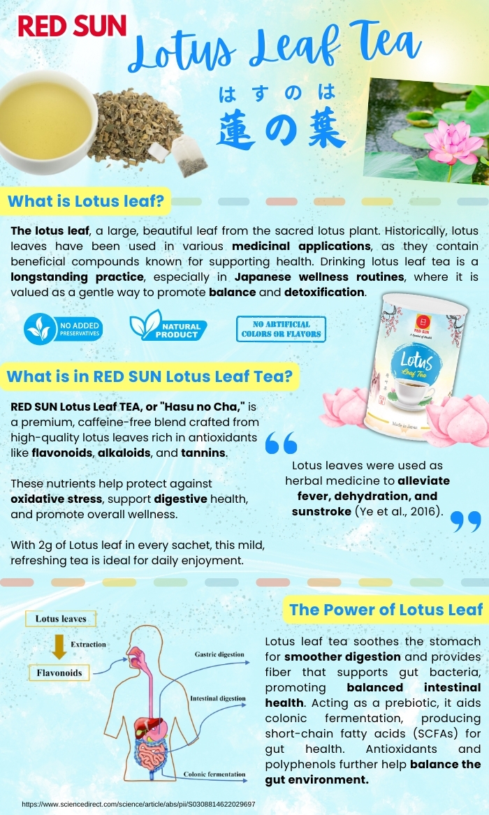 RED SUN Japan Lotus Leaf Tea [2 for $9] | Digestion Aid | Support Gut Health | | Shopee Malaysia