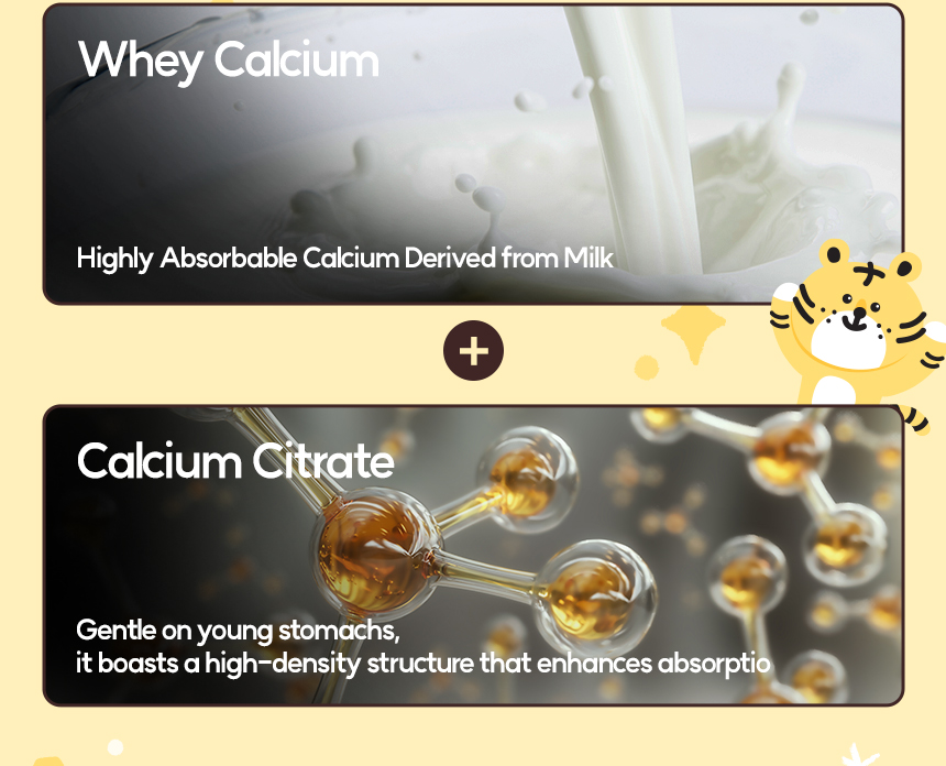 Dr. GET IT Calcium Magnesium Vitamin D Essential Nutrients - Chocolate ...
