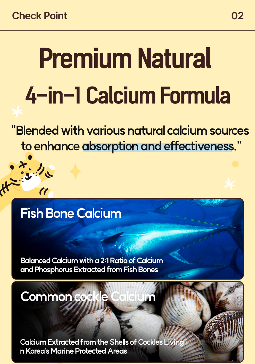 Dr. GET IT Calcium Magnesium Vitamin D Essential Nutrients - Chocolate ...