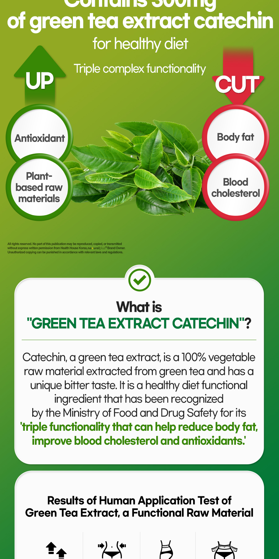 NATURALPLUS Korea Body Fat Care Diet & Probiotics, Catechin, Mixed ...