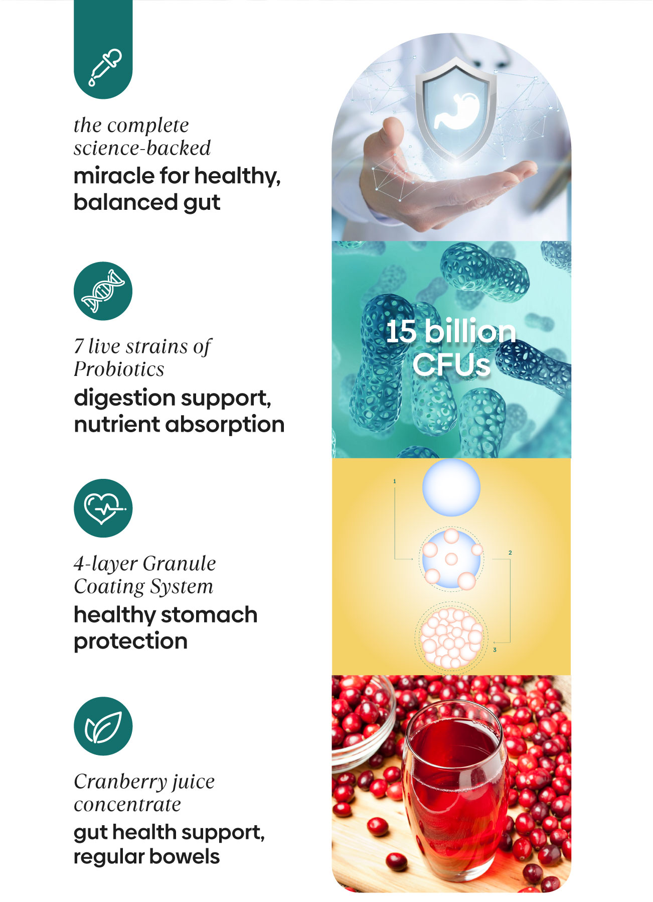 Purest Co Daily Pre+Probiotic Melts - For Gut Health & Digestion ...