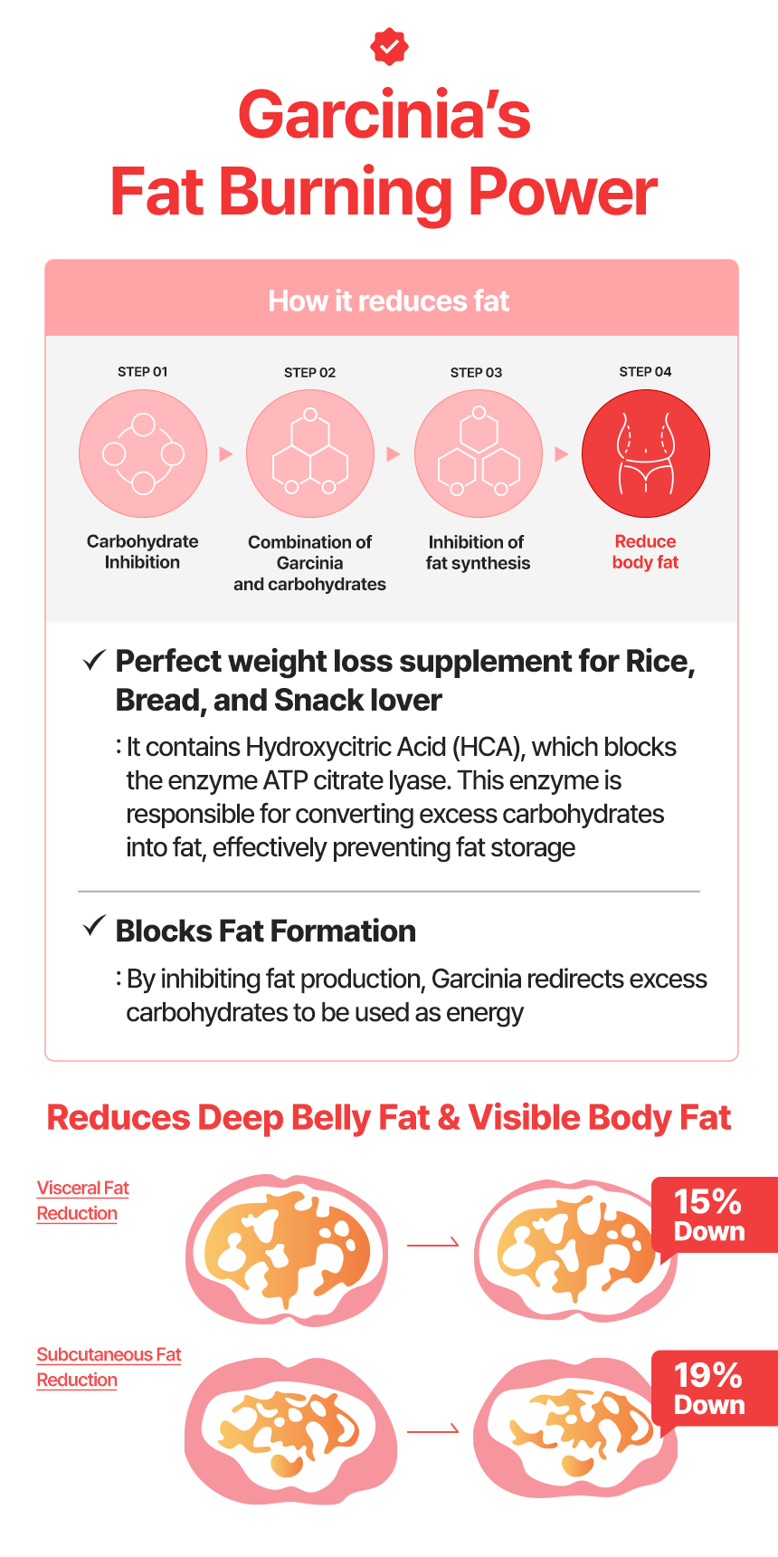 Dr GET IT Fat Burning Plus Probiotics 400 Billion CFU Synbiotics with ...