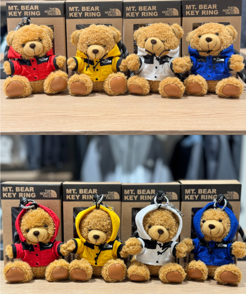The North Face Mountain Bear Keyring (2025New) | Shopee Malaysia