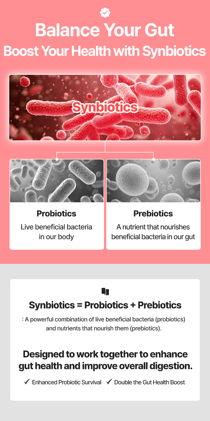 Dr GET IT Fat Burning Plus Probiotics 400 Billion CFU Synbiotics with ...