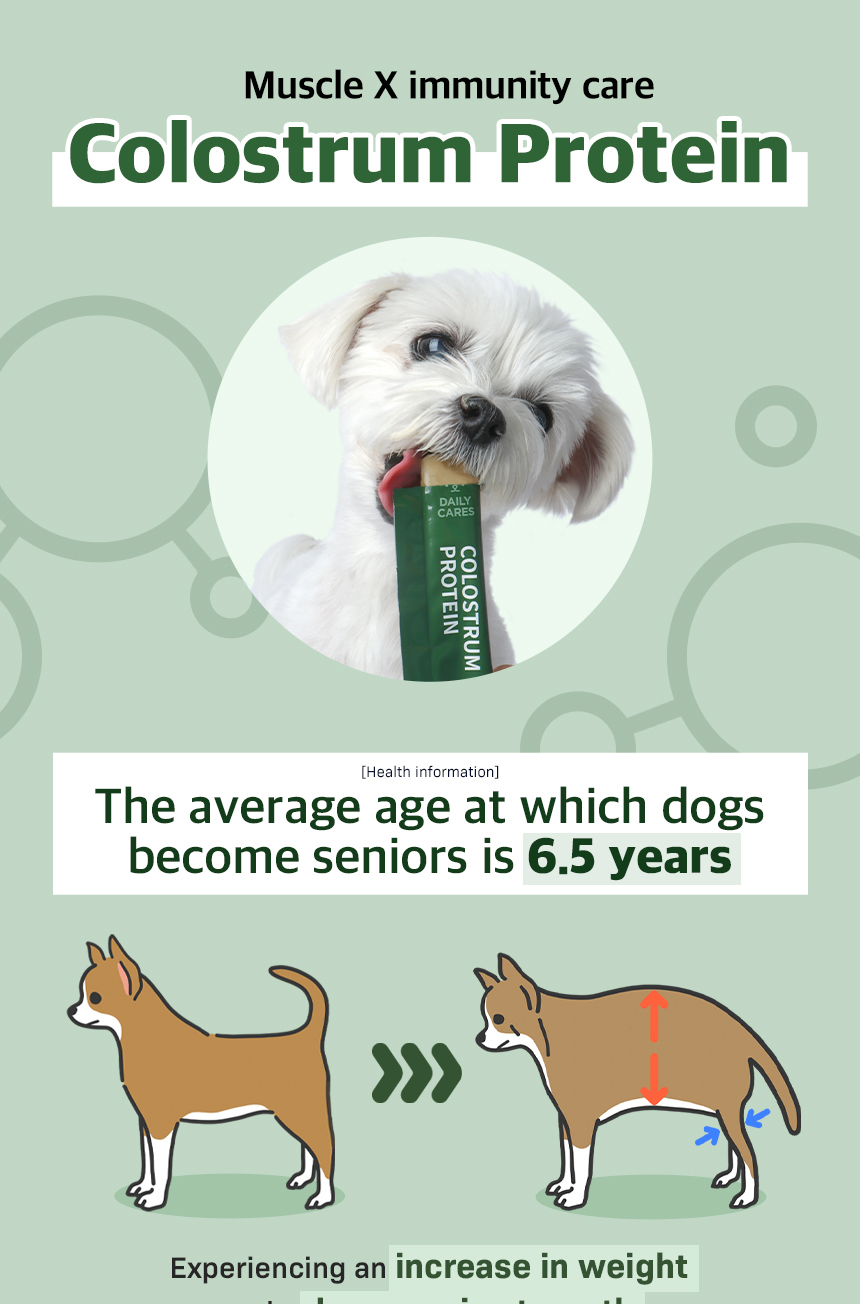 [DR.BY COLOSTRUM PROTEIN] Dog Health Supplement Food Snack (30sticks ...