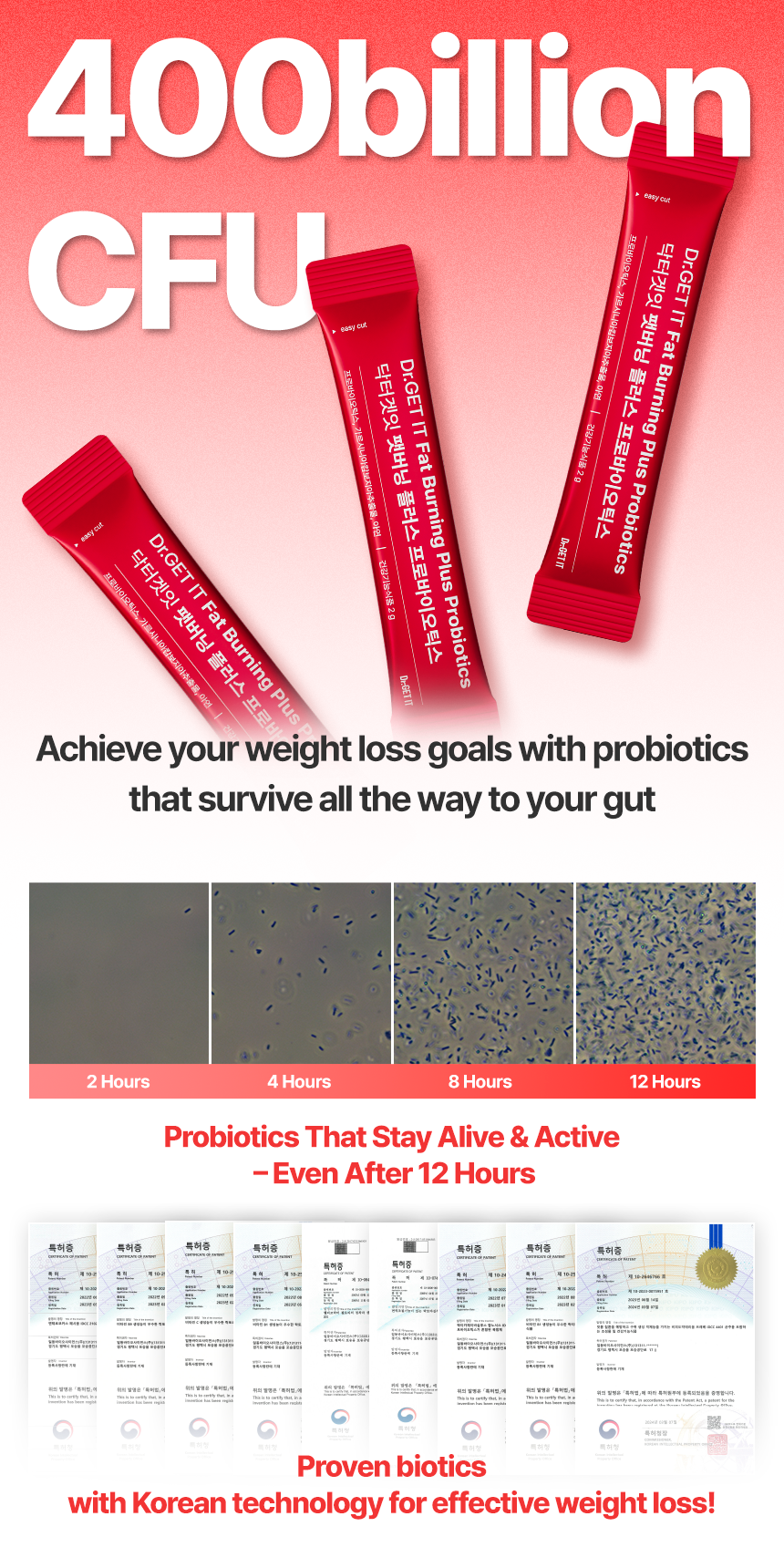 Dr.GET IT Fat Burning Plus Probiotics 400 Billion CFU with Garcinia ...