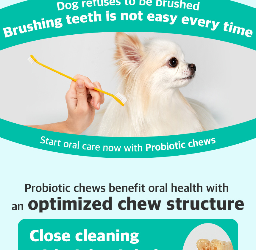 [Doctor By PROBIOTICS CHEW] Puppy Dental Gum Lactobacillus Teeth Snack ...