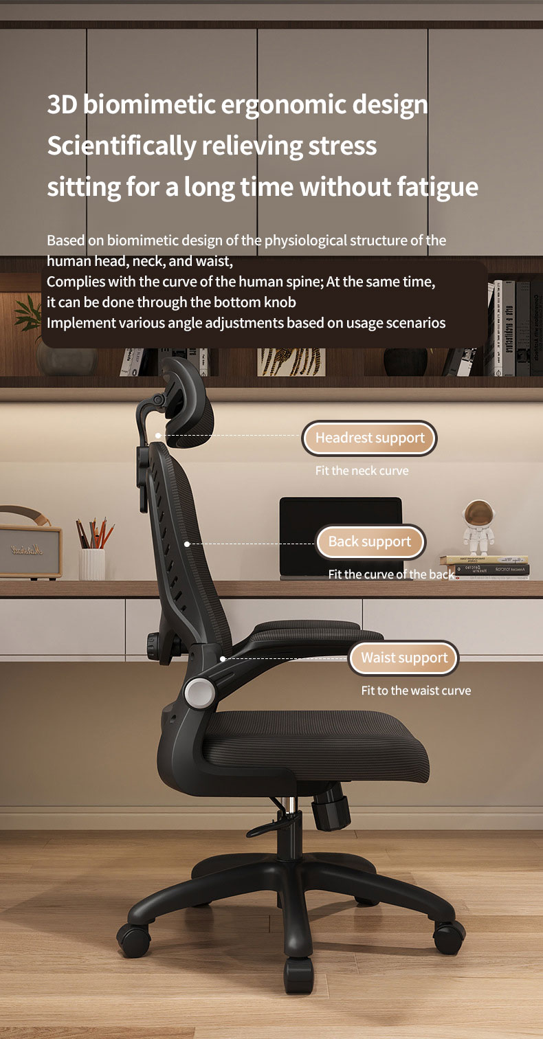 (HOME+) High-back Ergonomic office Chair Computer Chair Home Study ...