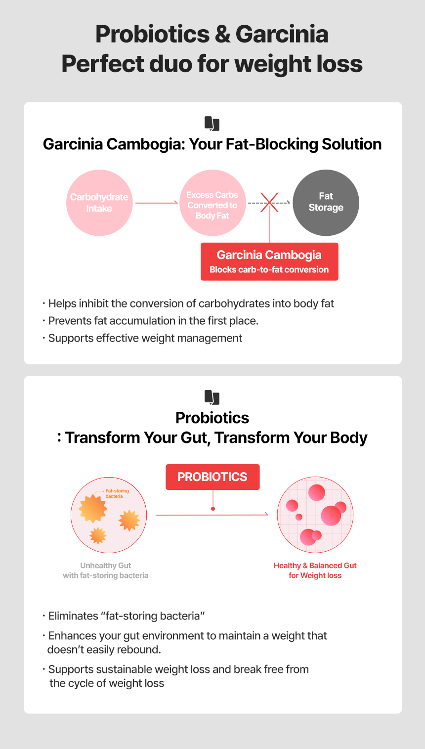 Dr.GET IT Fat Burning Plus Probiotics 400 Billion CFU with Garcinia ...