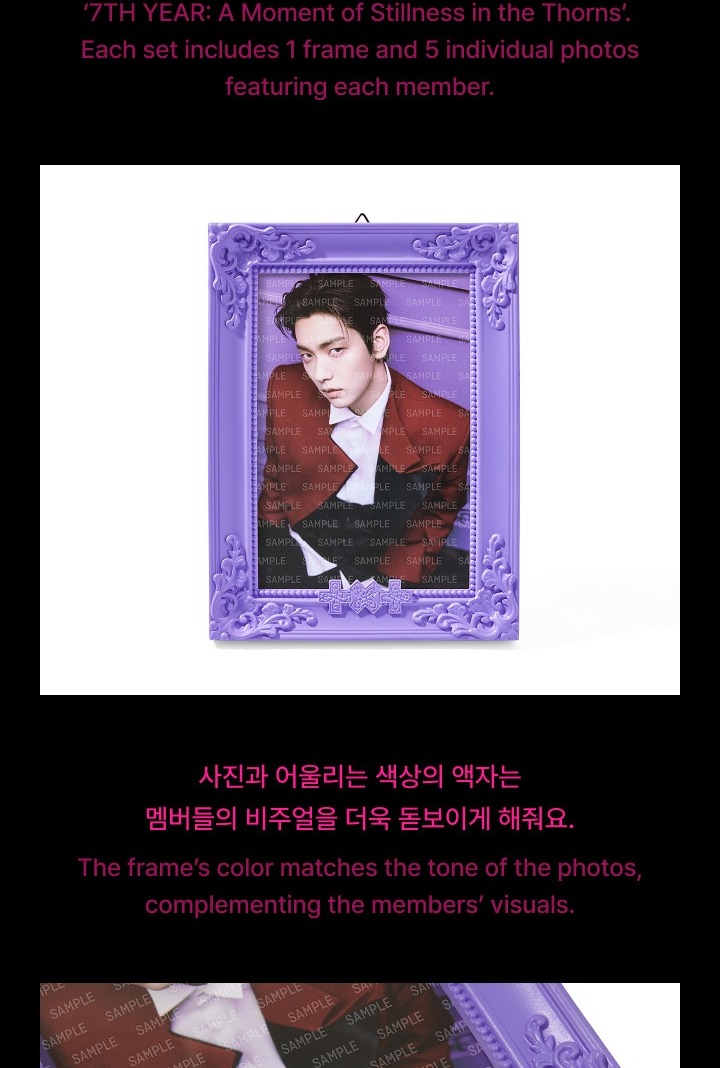 TXT [7TH YEAR: A Moment of Stillness in the Thorns] MD / Photo Frame ...