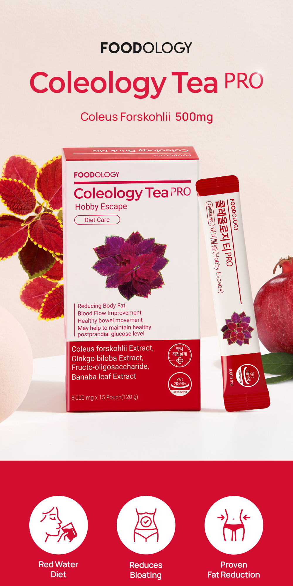 [FOODOLOGY Official] Coleology Slimming Tea PRO Starter Pack X 15 ...