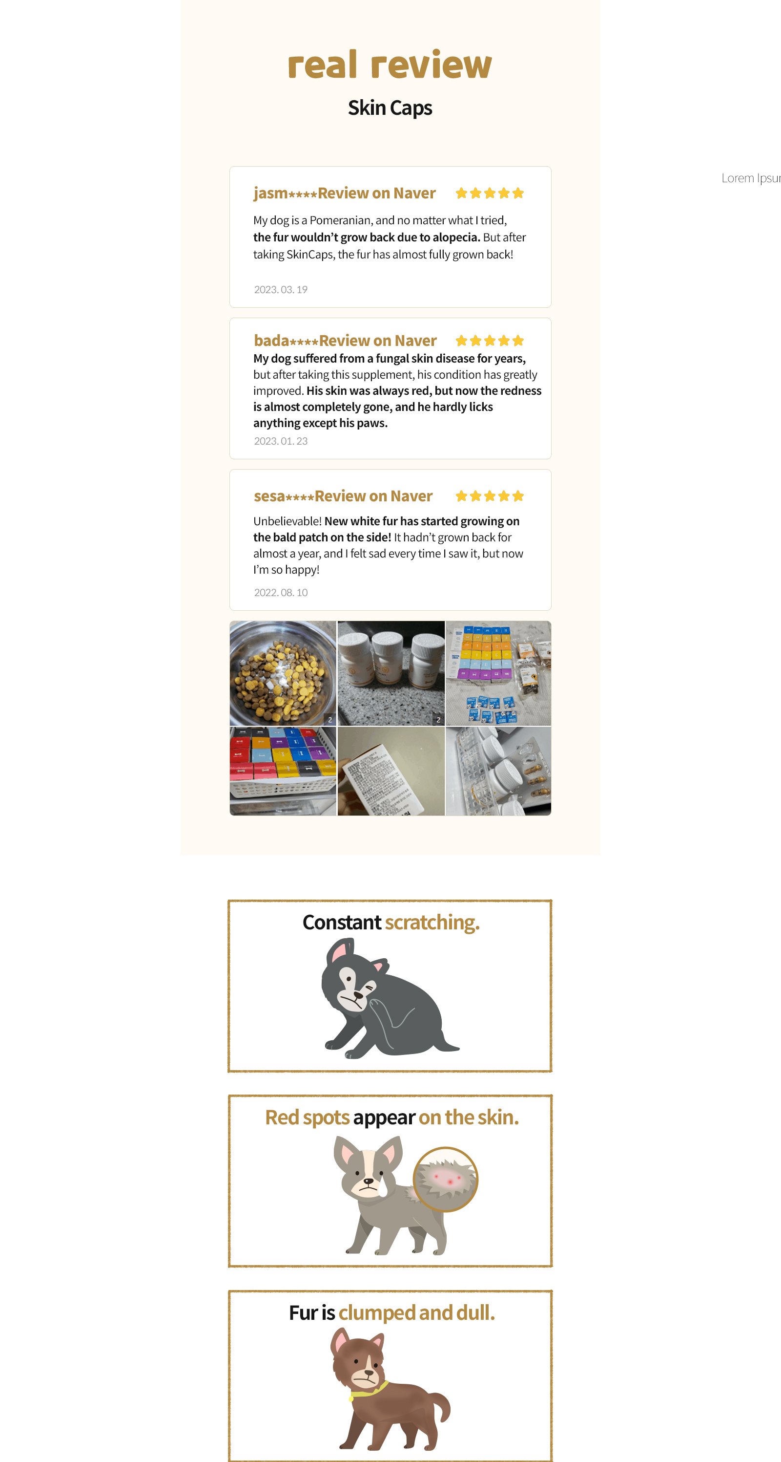 BONEAPETY Korea Skin Caps Dog Skin and Coat Health Supplement Allergy ...