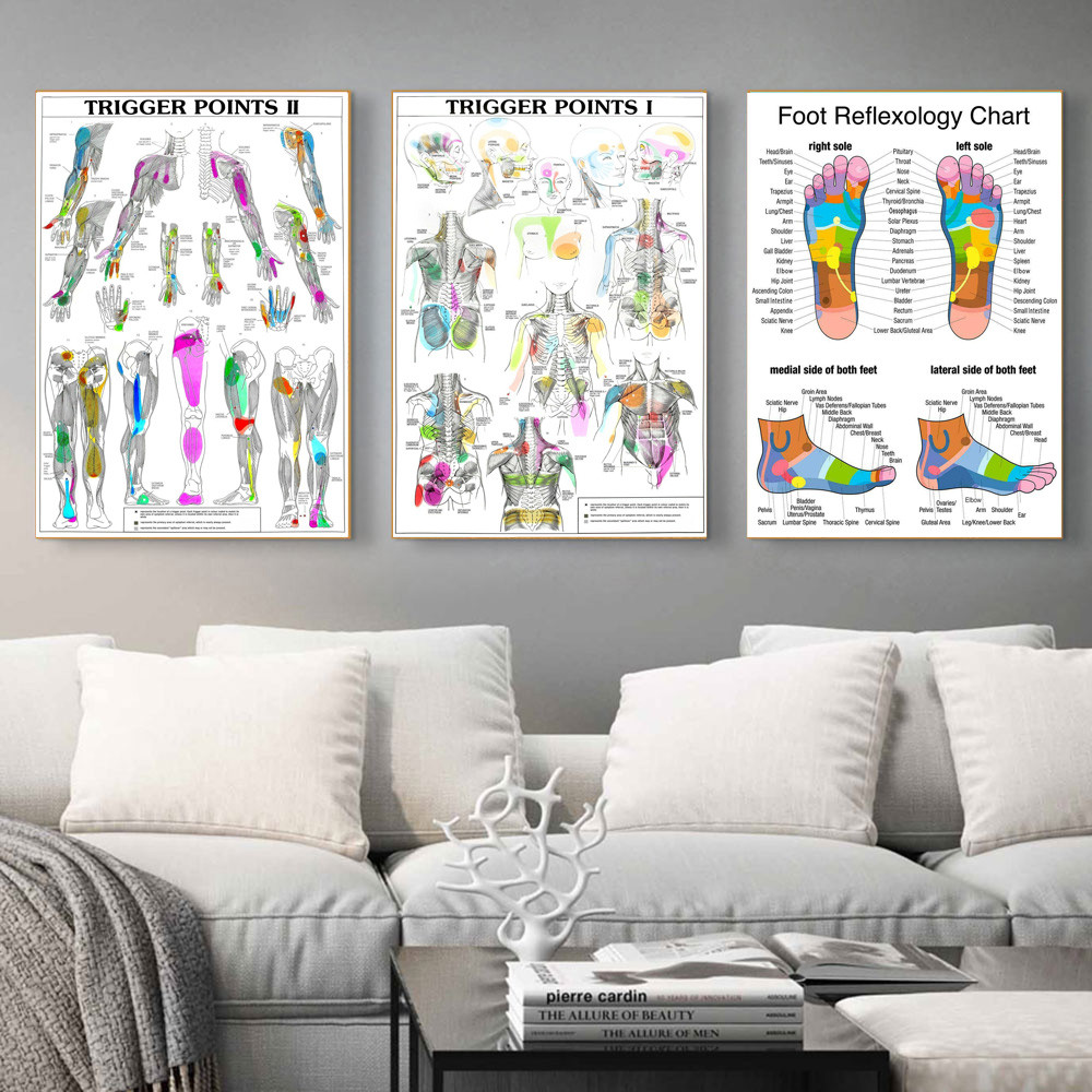 Framed Trigger Points Anatomy Foot Reflexology Chart Study Poster ...