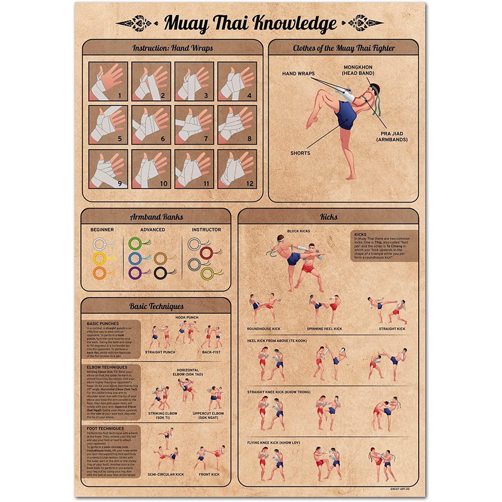 Super Muay Thai Knowledge Poster Martial Arts Training Dojo Boxing ...