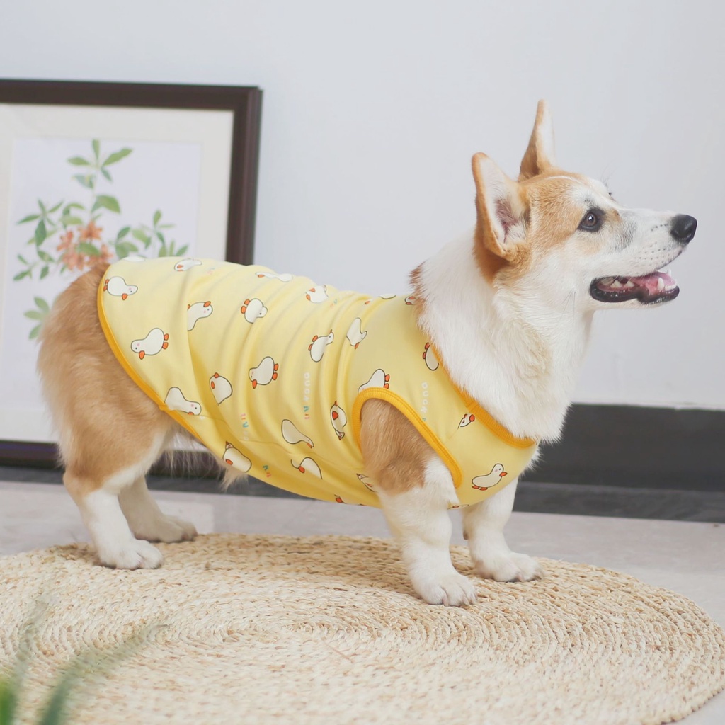 Dog Clothes Pet Clothes for Corgi Autumn Style Abrasionproof Cotton ...
