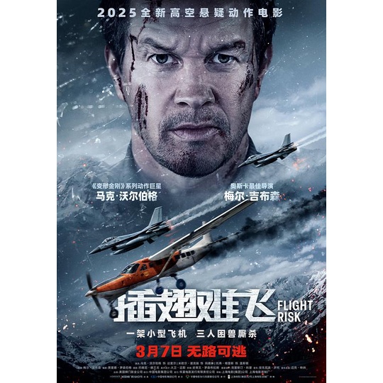 [Blu-ray Movie] Dangerous Flight/Flight Risk/Flight Risk (2025 ...