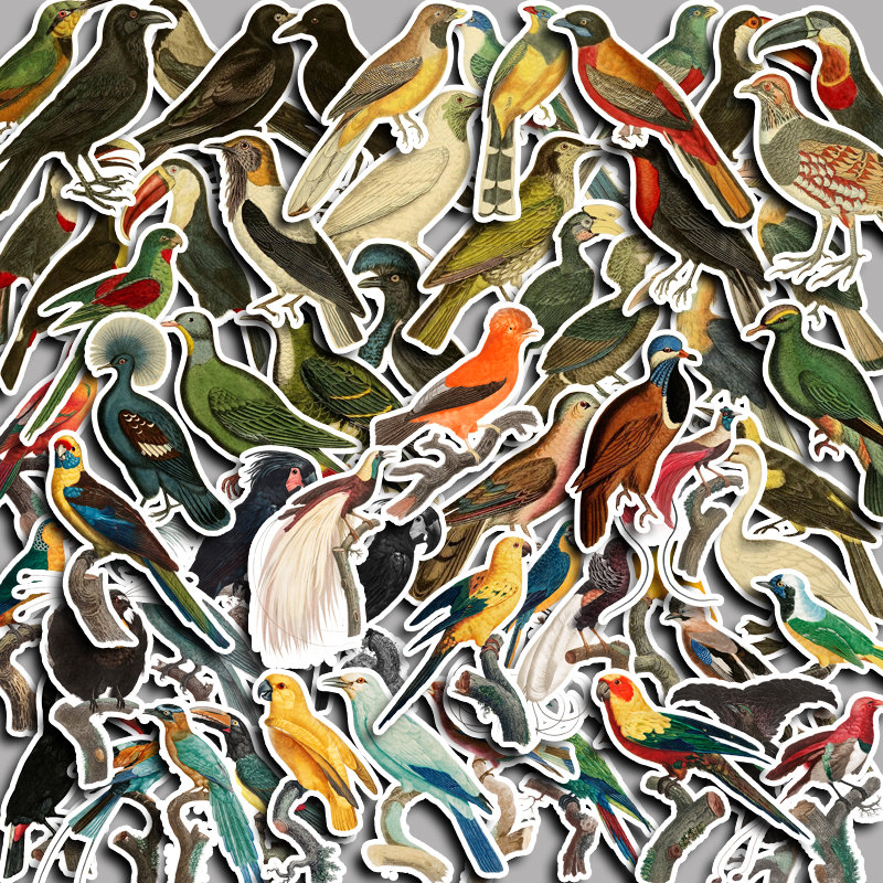 60pcs Retro Birds Stickers Diy Computer Laptop Washi Scrapbooking ...