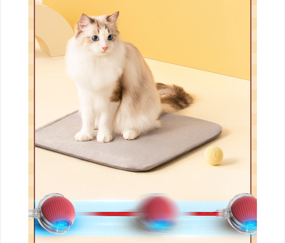 Electric Interactive Cat Toy Ball Motion Activation Sensor Pet Kitten ...