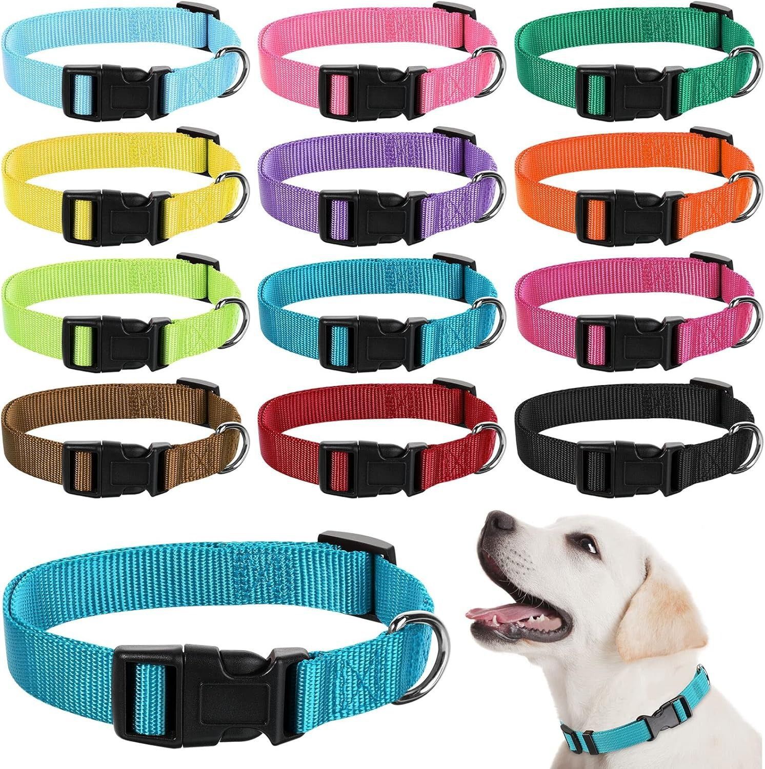 Classic Adjustable Nylon Dog Collar with Heavy Duty Clip Buckle Deluxe ...