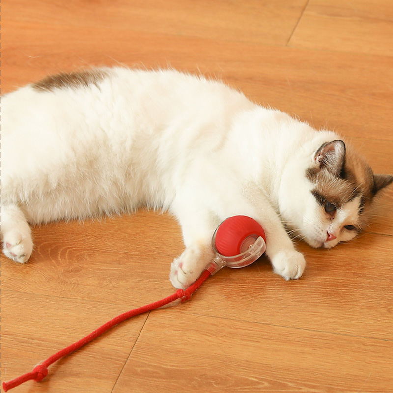 Fully Automatic Intelligent Rolling Bal l Self Entertainment Artifact ...